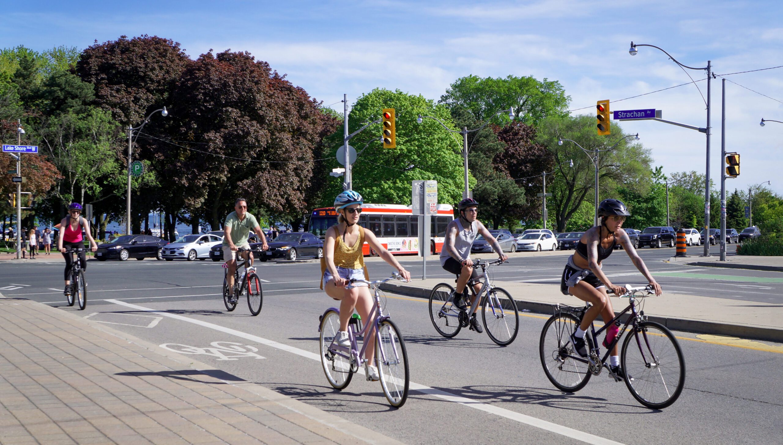 Web Design for a Bike Shop - Pedaal Case Study NVISION